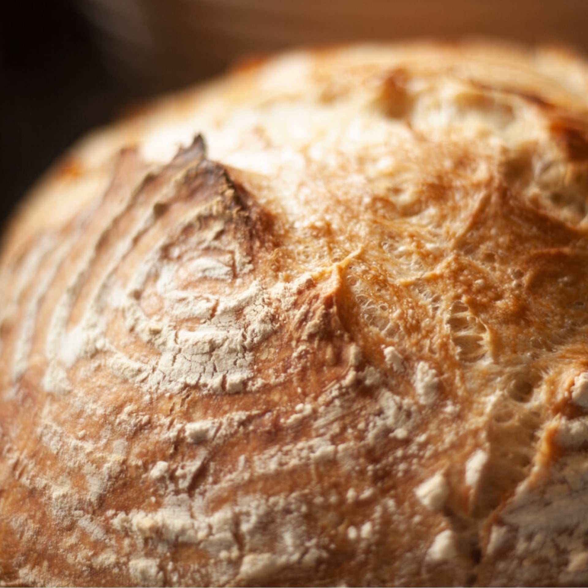 Boule | Forno Bakery